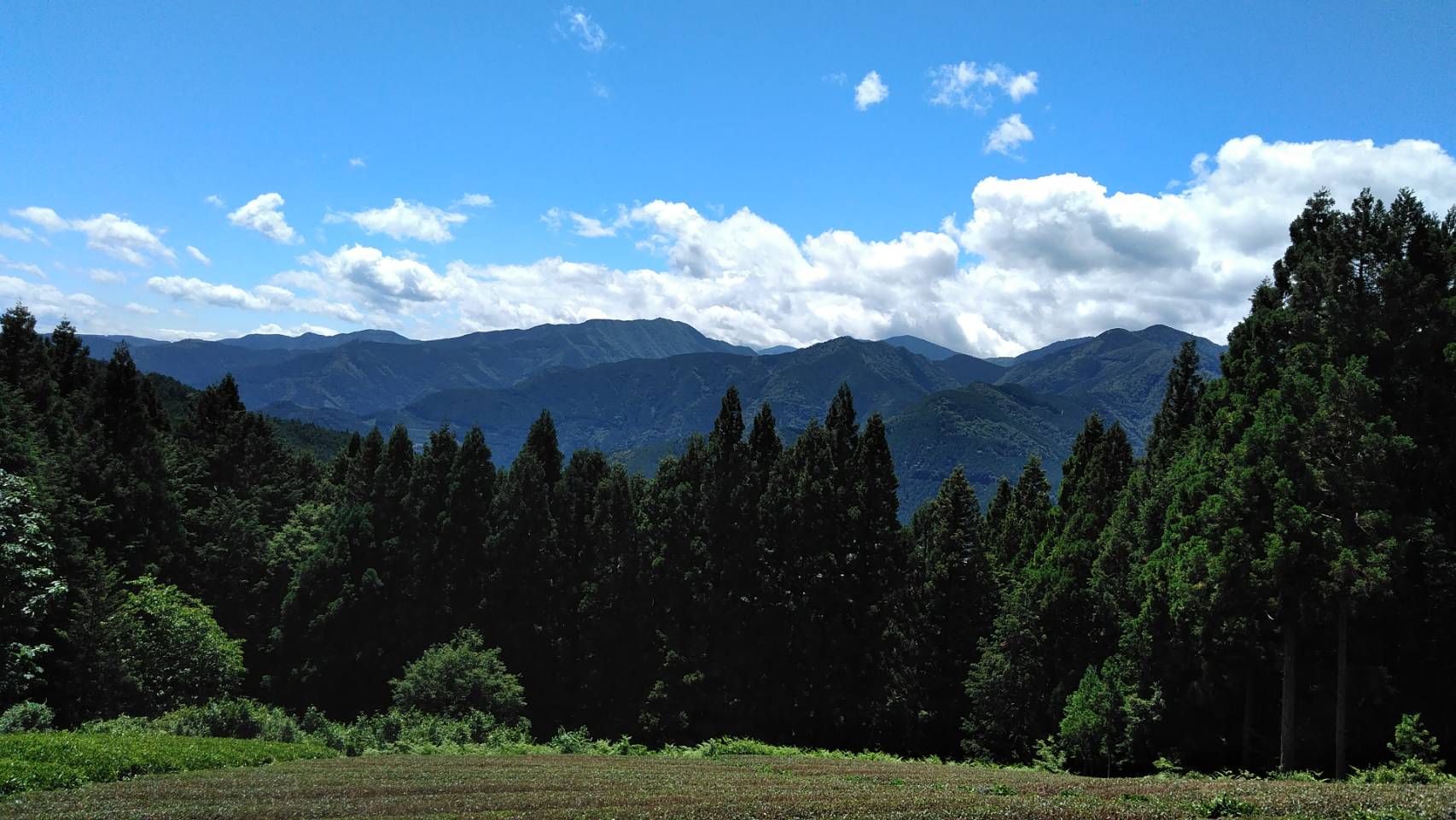 NPO法人 トータルケアセンター | 障がい者の就労支援、生活支援をする静岡県浜松市のNPO法人